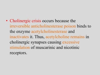 cholinergicdrugs-160304092118.pptx | Free Download