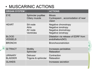 Cholinergic drugs | PPTX