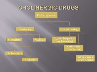 Cholinergic drugs ppt | PPT