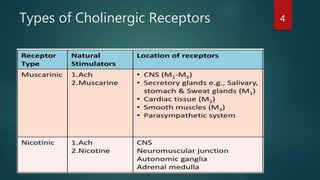Cholinergic drugs uses in Ophthalmology | PPTX