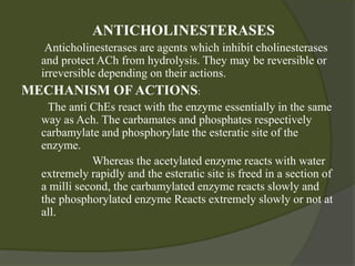 Cholinergic drugs | PPTX
