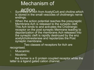 Cholinergic drugs | PPTX