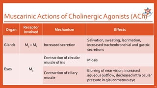 Cholinergic drugs 2020 | PPTX
