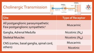 Cholinergic drugs 2020 | PPT