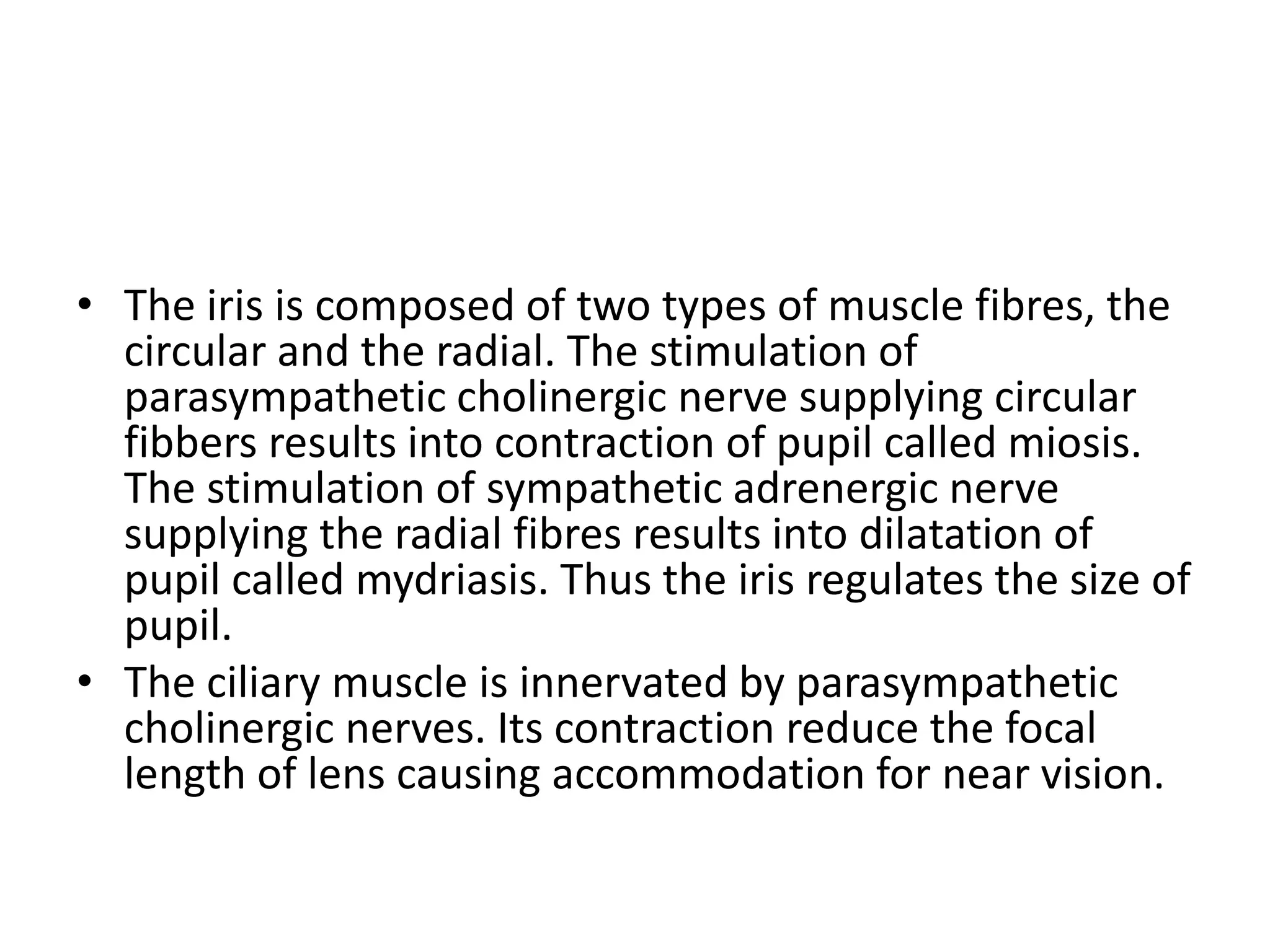 Cholinergic drugs | PPT