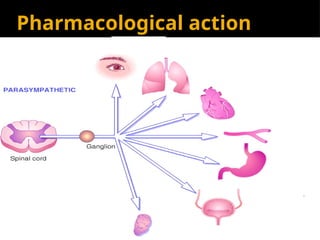 POWER POINT PRESENTATION ON Cholinergic drugs-2 2023.pptx