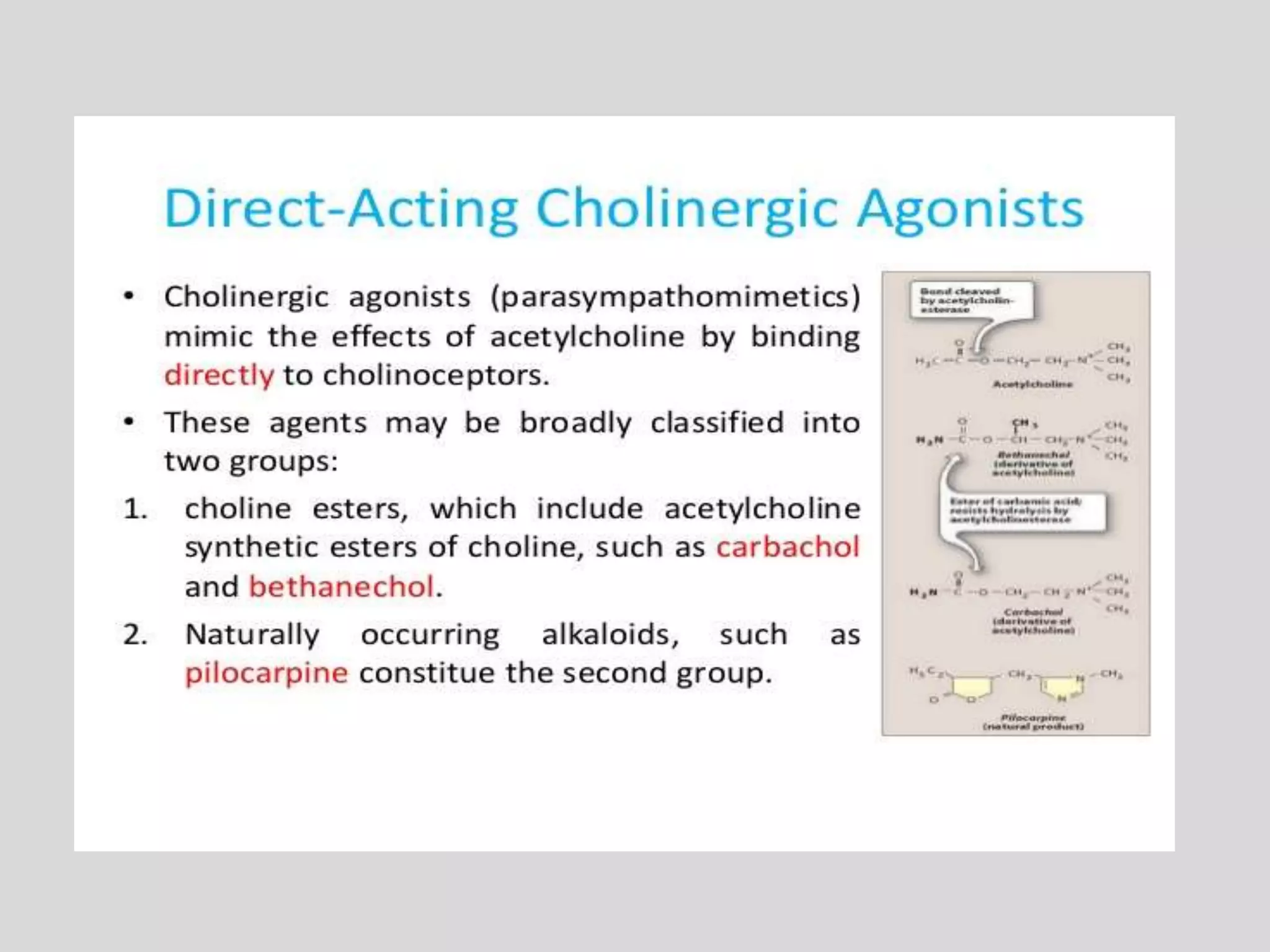 Cholinergic drugs.pptx