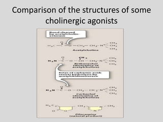 Cholinergic drugs.pptx