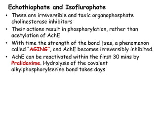 CHOLINERGIC DRUGS by agen Moses in pharmacology.pptx