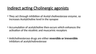 Cholinergic Drugs: Types, Actions & Therapeutic Uses.pptx