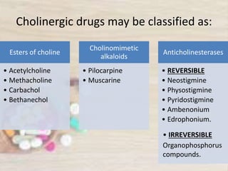 cholinergic drugs _abhijit.pptx