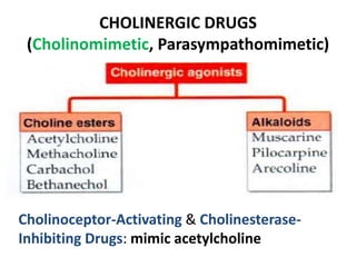 cholinergic drugs theory.pptx