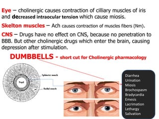 Cholinergic MK GUPTA, ANS, PARASYMPATHATIC PHARMACOLOGY | PPTX