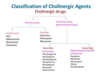 Cholinergic MK GUPTA, ANS, PARASYMPATHATIC PHARMACOLOGY | PPT