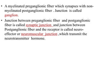 Cholinergic MK GUPTA, ANS, PARASYMPATHATIC PHARMACOLOGY | PPT