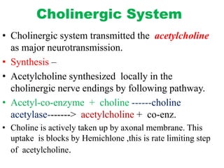 Cholinergic MK GUPTA, ANS, PARASYMPATHATIC PHARMACOLOGY | PPTX