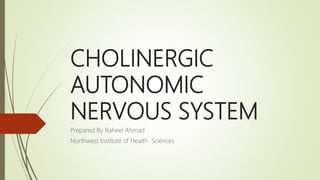 Cholinergic nervous system | PPTX