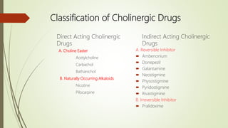 Cholinergic nervous system | PPTX