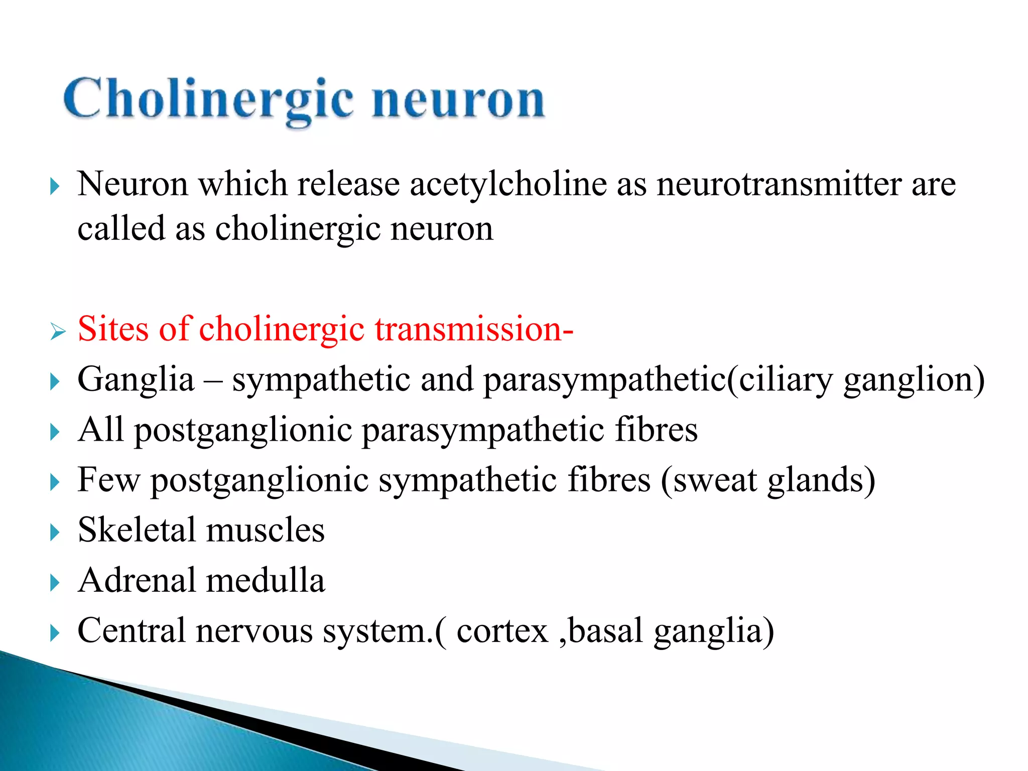 Cholinergic neurotransmision | PPTX