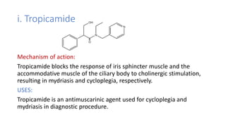 CHOLINERGIC NEUROTRANSMITTERS.pptx