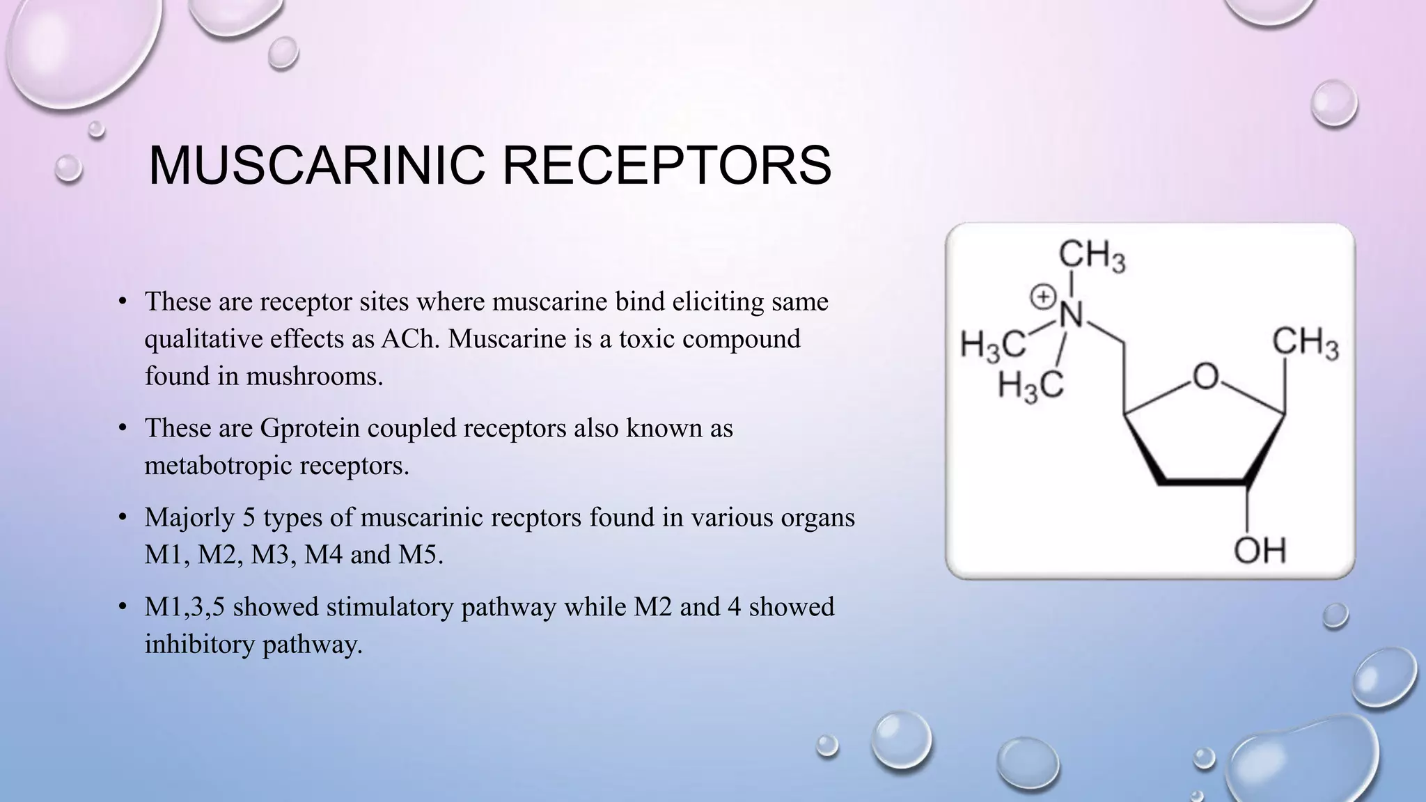 Cholinergic receptors | PPTX