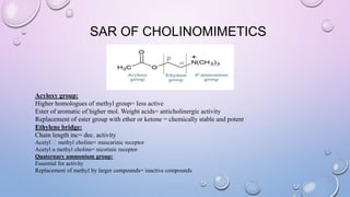 Cholinergic receptors | PPTX