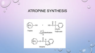 Cholinergic receptors | PPTX