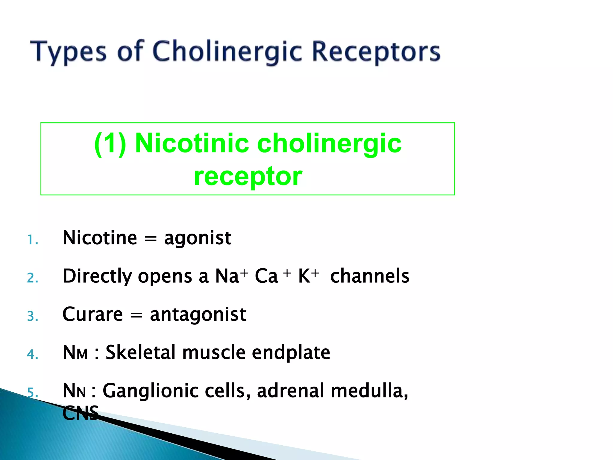 Cholinergic receptors and its modulators(agonists, antagonists etc) | PPTX