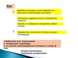 Cholinergic receptors and its modulators(agonists, antagonists etc) | PPTX