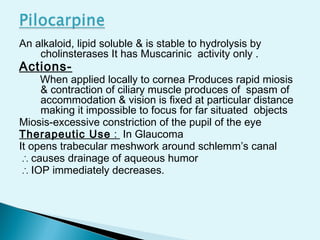 Cholinergics | PPT