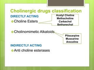 Cholinergics | PPT