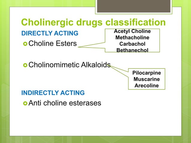 Cholinergics | PPT | Free Download
