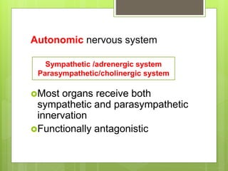 Cholinergics | PPT