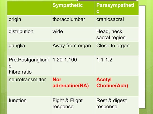 Cholinergics | PPT | Free Download