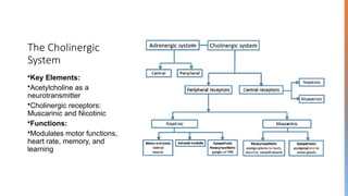 Cholinergics, Anti cholinergics and anticholinesterases.pptx