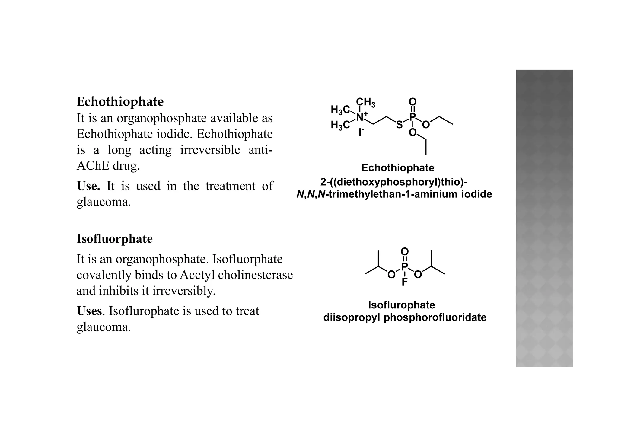 Cholinergics and anti cholinergic drugs | PDF
