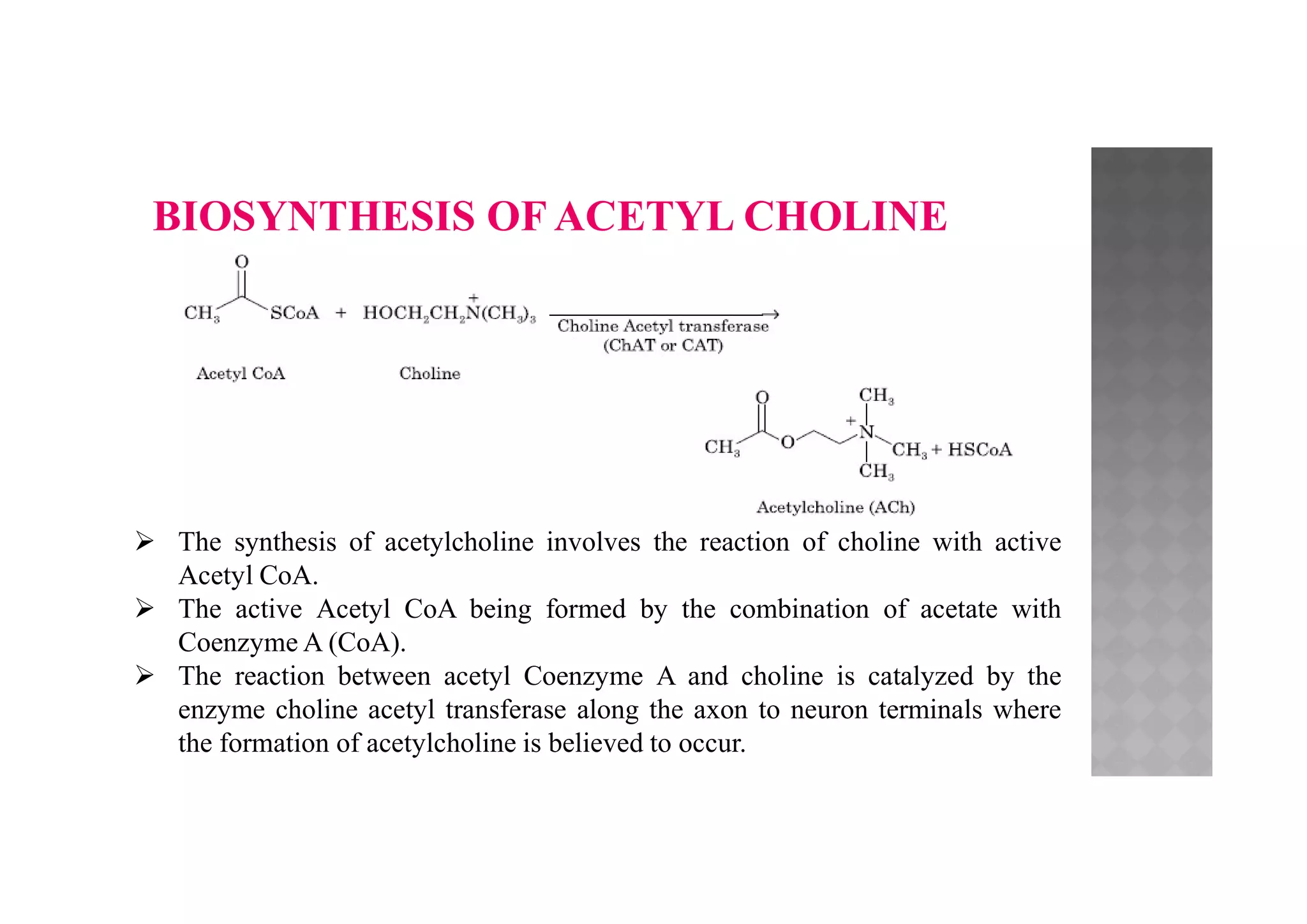 Cholinergics and anti cholinergic drugs | PDF