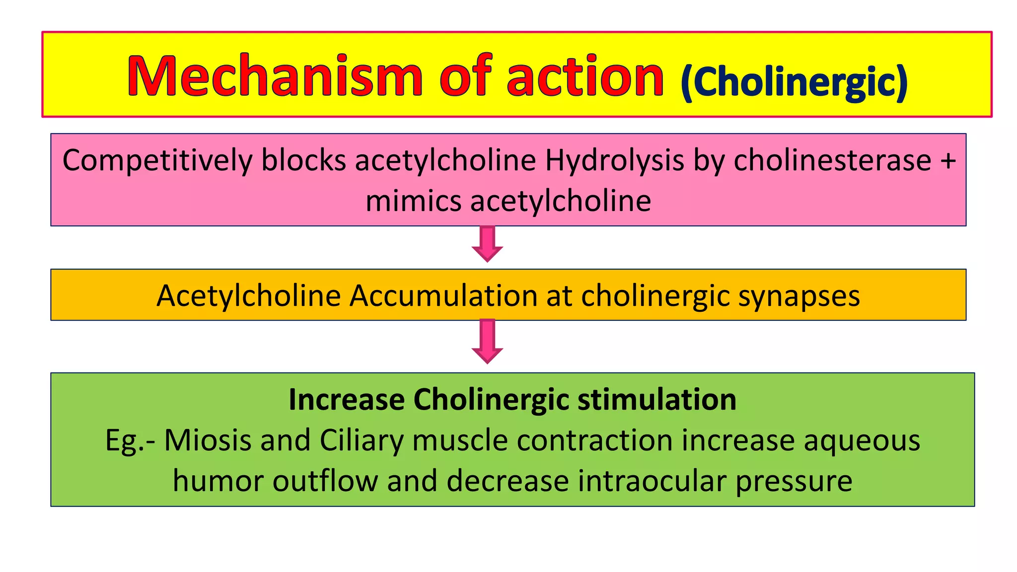 cholinergics and anticholinergics.pptx