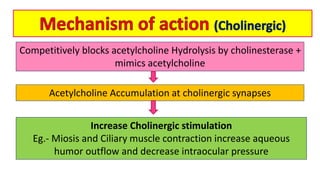 cholinergics and anticholinergics.pptx