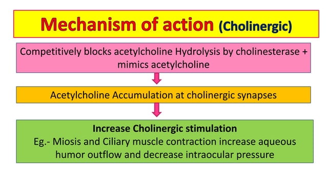 cholinergics and anticholinergics.pptx