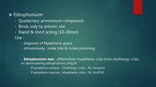 Cholinergic system | PPT
