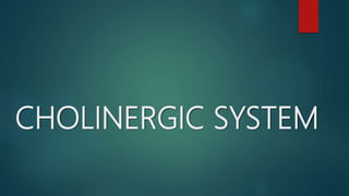 Cholinergic system | PPT