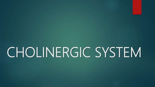 Cholinergic system | PPT