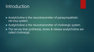 Cholinergic system | PPT