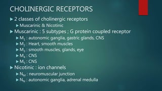 Cholinergic system | PPTX