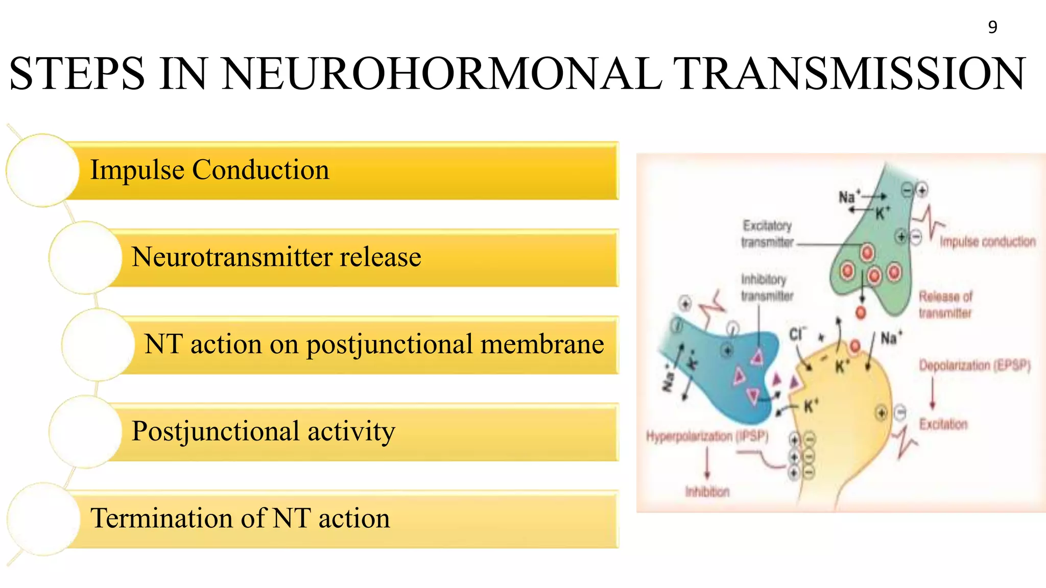 Cholinergic system | PPTX