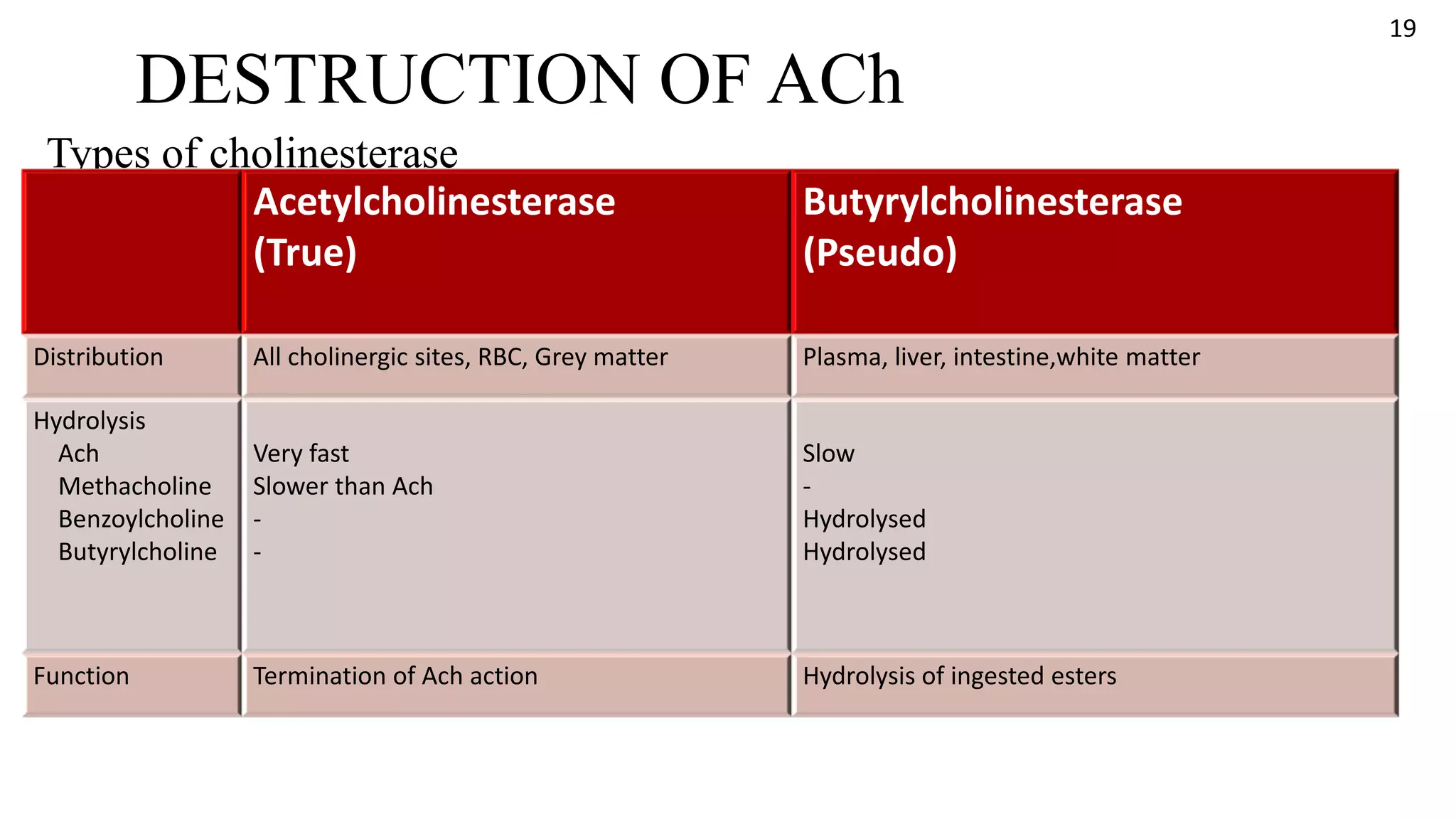 Cholinergic system | PPTX