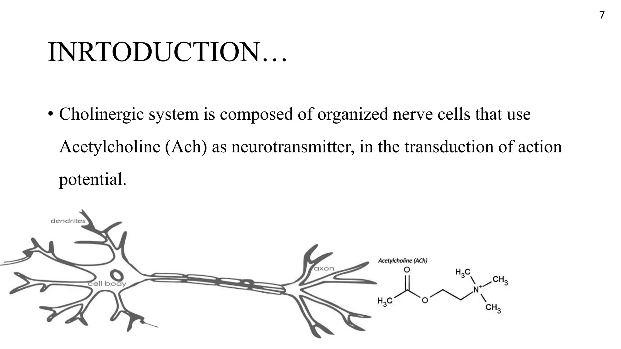 Cholinergic system | PPTX | Brain and Nervous System Disorders ...
