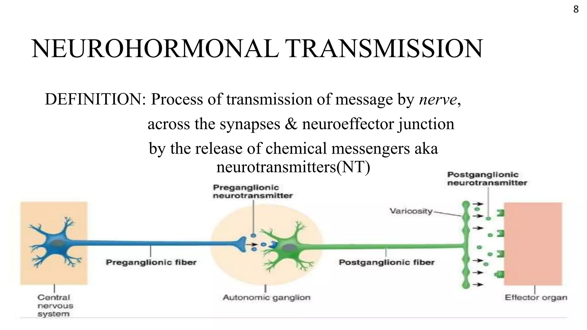 Cholinergic system | PPTX