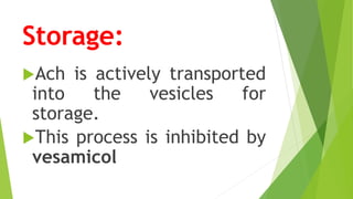 Cholinergic system 1 | PPTX
